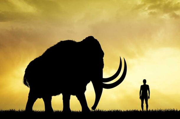 Convergent Evolution: Neanderthals and Woolly Mammoths May Have Shared ...
