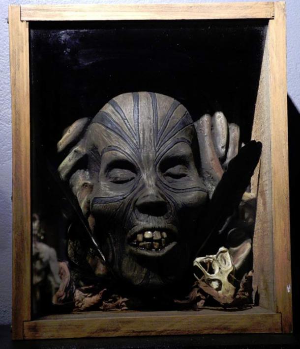 Mokomokai: Preservation of the Tattooed Maori Heads of New Zealand ...