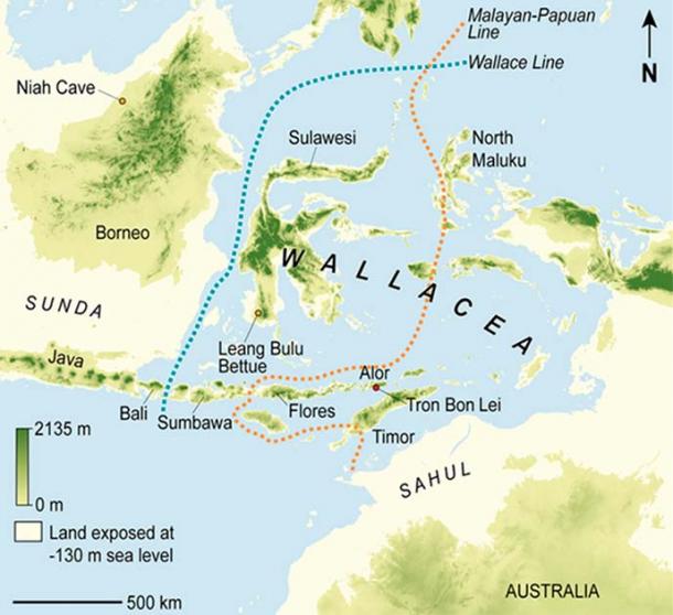 Flores Hobbits May Have Floated to the Island on Leaf Nests | Ancient ...