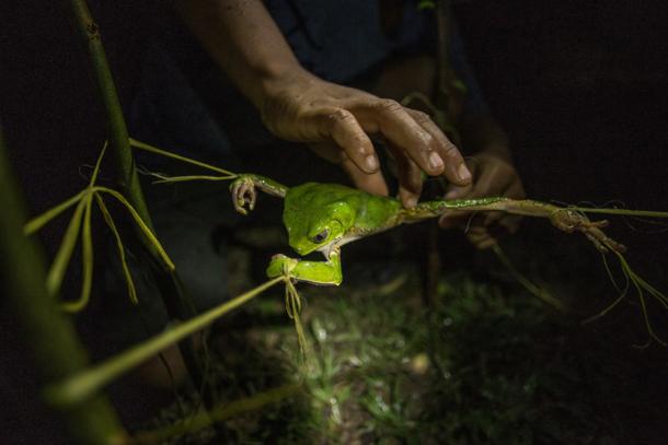 The 5 Most Terrifying Initiation Rites in History | Ancient Origins