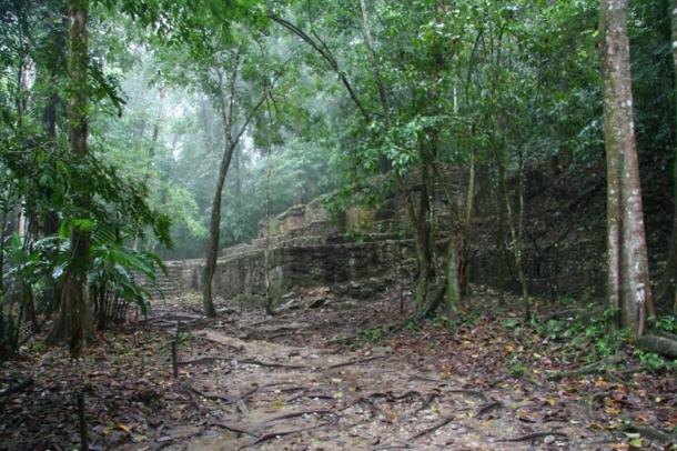 The environmental impact of the Maya civilization is still visible ...