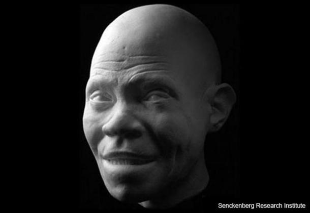 Why are humans unique? It’s the small things that count | Ancient Origins