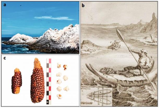 ‘White Gold’ Seabird Guano Sustained Life in Ancient Atacama | Ancient ...