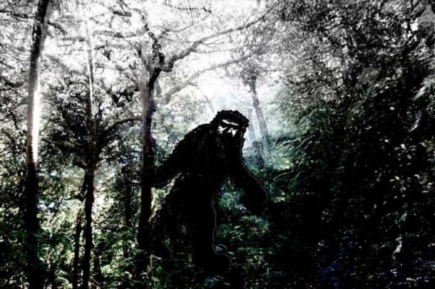The Maero: Bigfoot in New Zealand Folklore | Ancient Origins