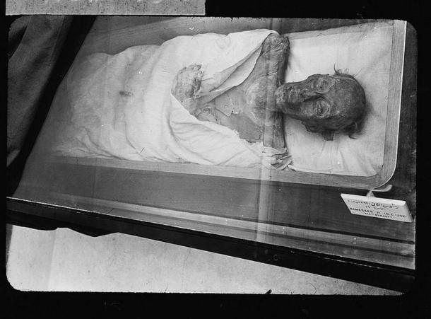 Mummy of Pharaoh Ramesses II Issued a Passport to Travel to France ...