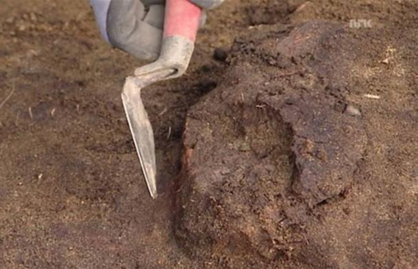 Decapitated Skull Holds Remarkable Find - Oldest Preserved Brain in ...