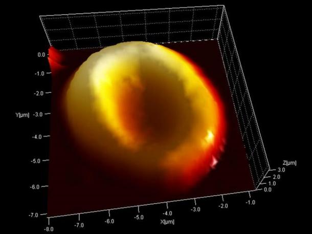 5,300-Year-Old Otzi the Iceman Yields Oldest Known Human Blood ...