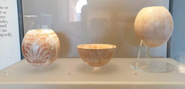 7,500-Year-Old Ostrich Egg Found Around Ancient Campsite in Israel ...