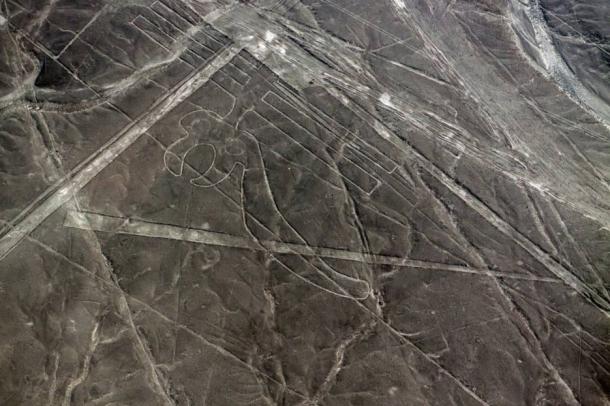 Greenpeace treads on ancient Nazca lines site to urge renewable energy ...