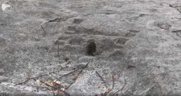 Possibly Decimated by Conquistadors 400 Years Ago, Has the Lost City of ...