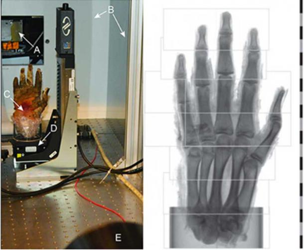 CT Technique Massively Expands Imaging Soft Tissue of Ancient Remains ...