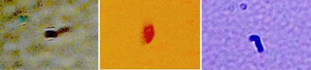 BREAKING NEWS: New Telescope Observes Otherwise Invisible Terrestrial ...