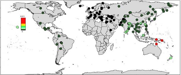 Where in the World are our Neanderthal and Denisovan Ancestors ...
