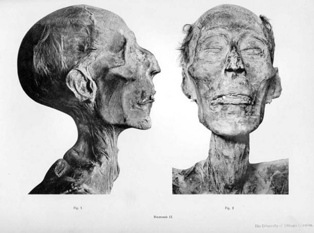 Ramesses II - Original Sarcophagus Identified Within the Valley of ...