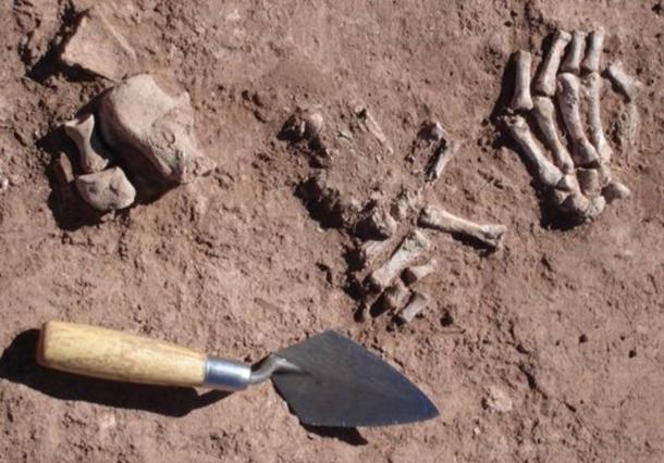 Hundreds of Ancient Mummies Discovered at Ceremonial Site in Peru ...