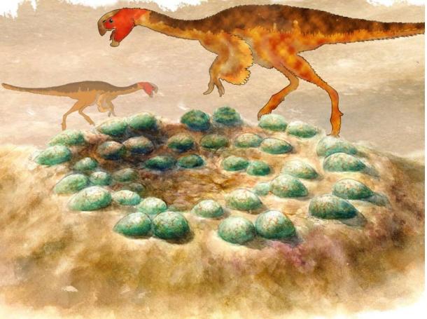 Scientists Peek Inside Dinosaur Eggs to Learn Secrets from Fossilized ...