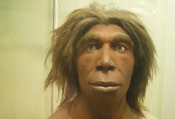 Neanderthal Ancestry Detected in Africans For the First Time | Ancient ...