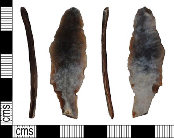 Archaeologists Identify First Prehistoric Figurative Cave Art in ...