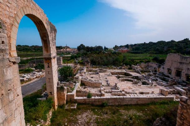 Woman Spots Stone Head Poking Out of the Ground in Israel and Discovers ...