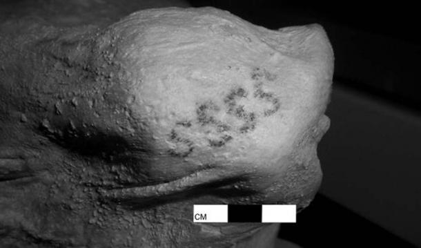 New Finds on Old Egyptian Skin Reveals Symbolic Tattoos Were In Use ...