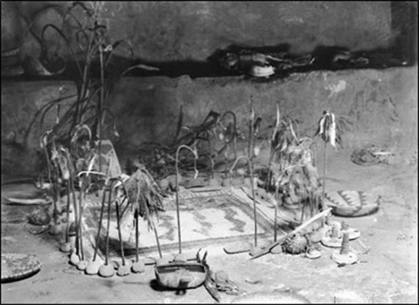 Dances With Snakes The Real Reason For The Hopi Snake Hopi Snake Dance