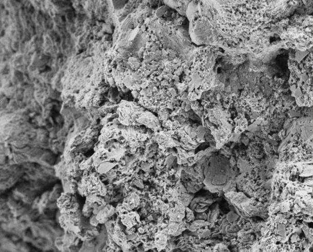 Can 4.6 Billion-Year-Old Meteorite Hold Secrets of Life on Earth ...