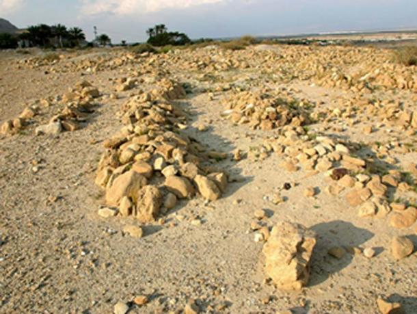 Skeletons Found Near Dead Sea Scrolls Likely Belonged to an Enigmatic ...