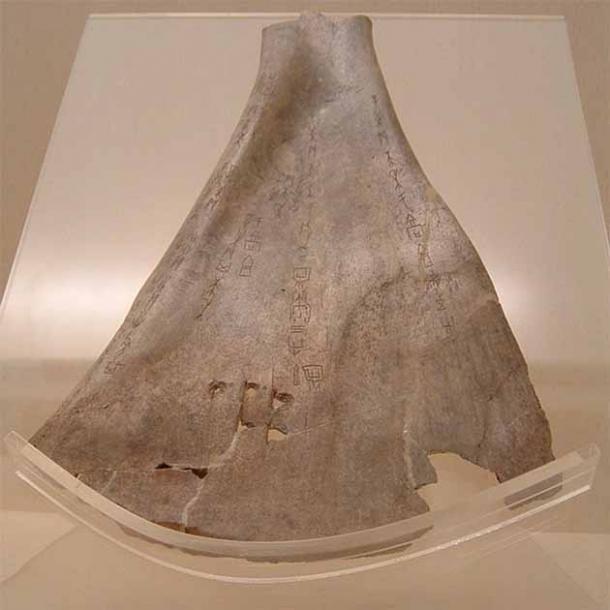 Bone Slips Excavated in Central China Linked to Ancient Fortune-Telling ...