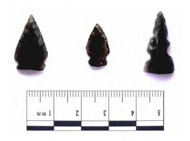Human Blood Found on Ancient Maya Arrowheads, Bloodletting Rituals to ...