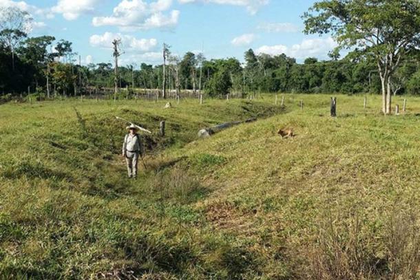 Pre-Columbian Amazon Was Not So Virgin After All | Ancient Origins