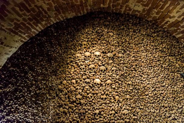 The Desperate and Distasteful Practice of Grinding Human Bones to Make ...