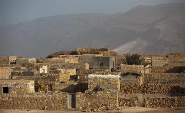 The lost world of Socotra, a remote island with plants up to 20 million ...