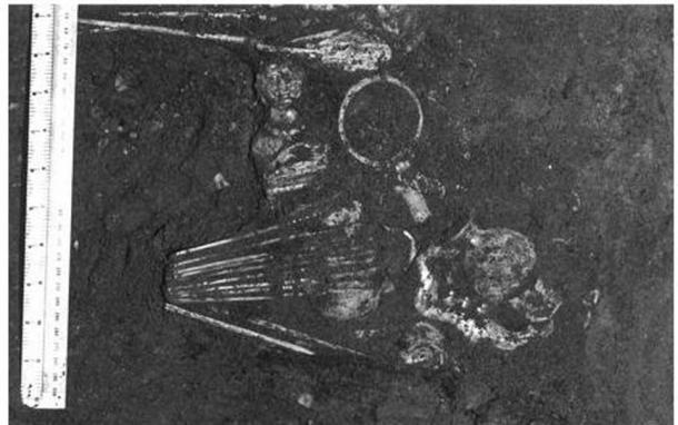 The Hoxne Hoard: How a Mislaid Hammer Led to the Largest Roman Treasure ...