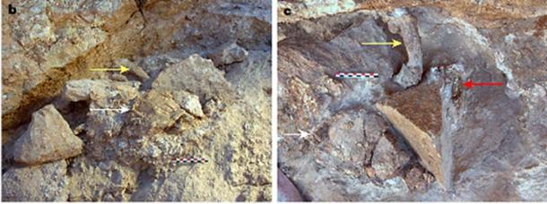 300 000 Year Old Remains Place Oldest Homo Sapiens In Morocco Ancient