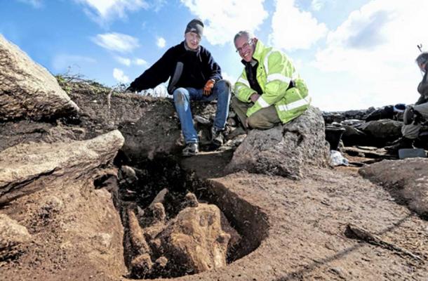A Perplexing Case of Unexplained Porpoise Burial at Medieval Monk ...