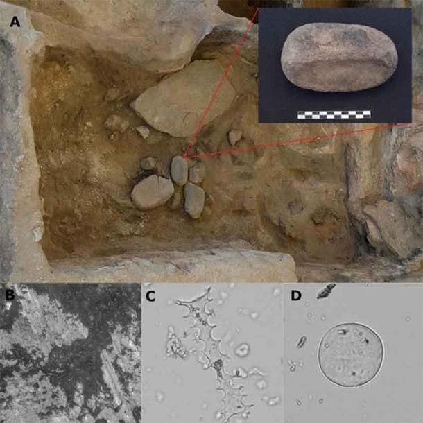 Two Major Discoveries at One of the First Urban Centers, Çatalhöyük ...