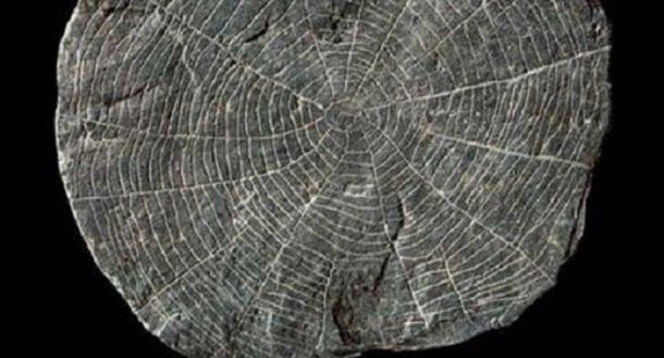 Puzzling Stone Age Labyrinth Discovered in Denmark, What Was It Used ...