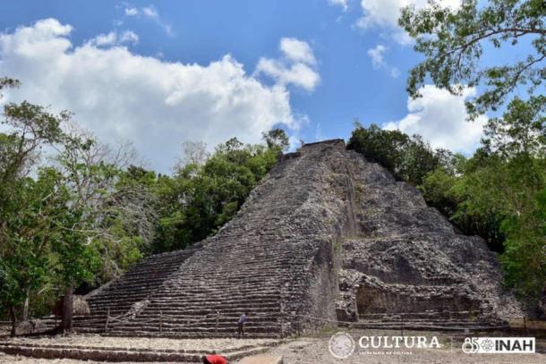 Massive Mayan Glyph Text Found at Cobá