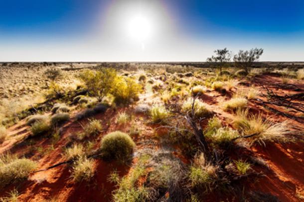 Following the Footsteps of the Ancestors: The Walkabout Coming of Age ...