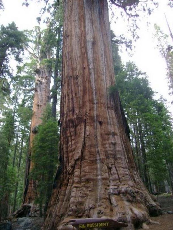 Not the Biggest, Not the Tallest, Not the Widest - So What Makes this ...