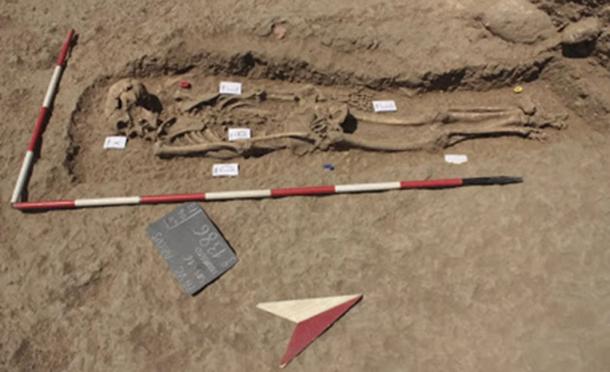 Muscular Ancient Murder Victim Had Perfectly Circular Hole Punched In ...