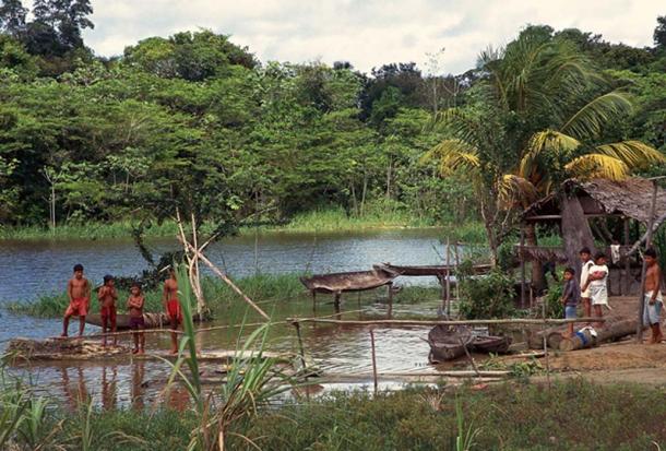 Humans Inhabited the Amazon 7,500 Years Earlier Than Previously Thought ...