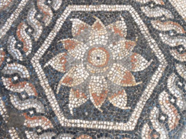 Researchers Find Roman Villas and a Spectacular Mosaic in Egypt ...