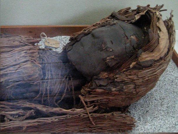 Gallic Warriors Reaped, Embalmed Then Displayed the Heads of Their ...