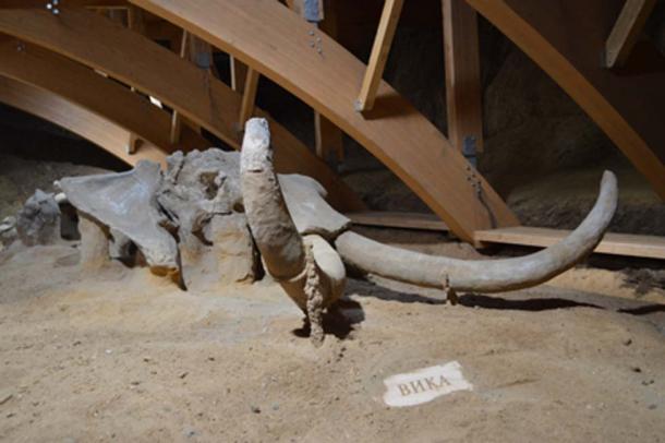 Viminacium: Where Mammoths Roamed and Romans Ruled | Ancient Origins