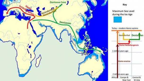 Denisovan Jaw: The First Physical Evidence for the Mysterious Hominins ...