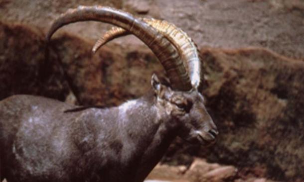 Earliest Writing System May Have Been Developed by Ancient Metalworkers ...