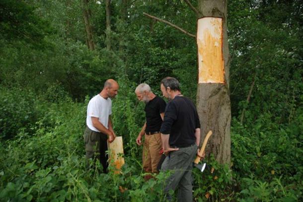 First Bark Shield Uncovered in England is Changing Celtic History ...