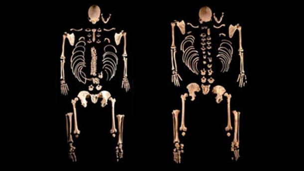 Unique Iberian Male DNA was Practically Wiped Out by Immigrant Farmers ...