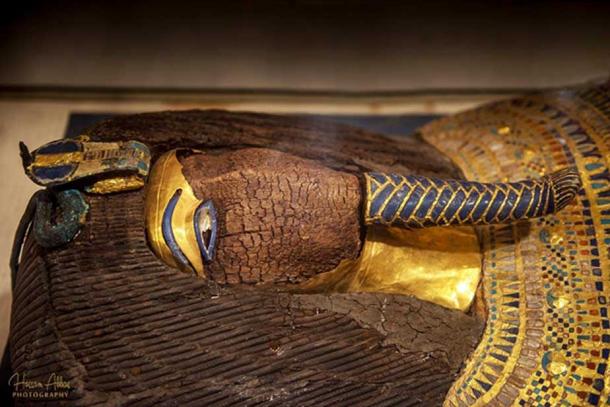 The Golden Shrine of Queen Tiye: Reburial of a Rebel Ruler and His ...